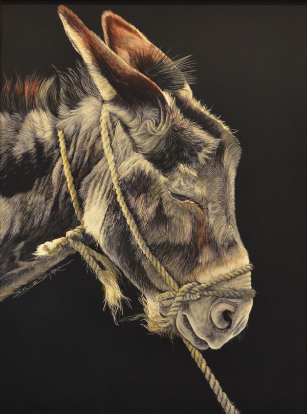 Originals Sally Maxwell Master Scratchboard Artist